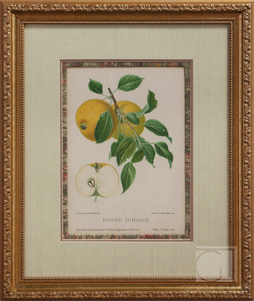 Antique Fruit in Gold Frame – Deutscher Goldpepping | Georgia Film Art